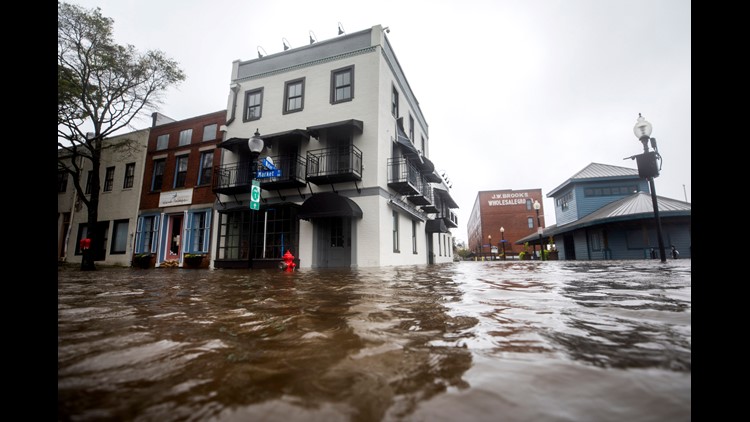 MCNY is Where the Experts Teach! Dr. Lessie Branch on the Impact of ...